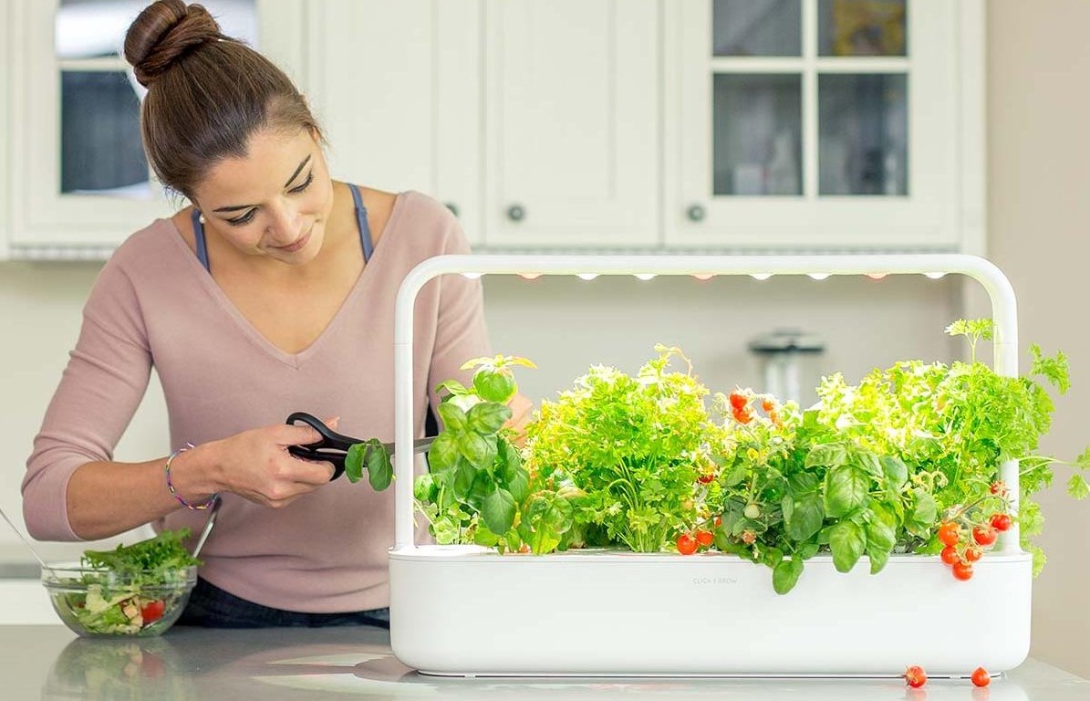 9 Amazing Products for Your Indoor/Patio Garden